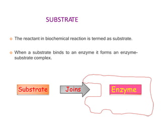 Biochemistry Unit 5 | PPTX