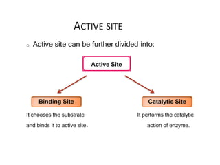 Biochemistry Unit 5 | PPTX