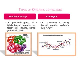 Biochemistry Unit 5 | PPTX
