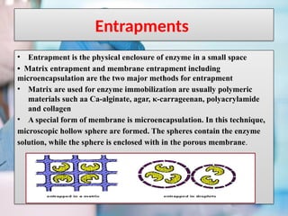 enzyme2ozgendeniz.pptxenzymesbiyokimyaaa | PPT