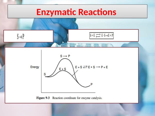enzyme2ozgendeniz.pptxenzymesbiyokimyaaa | PPT
