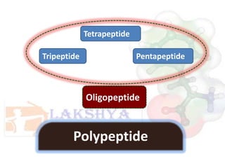 Enzyme 2 protein_structure | PPTX