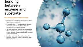 Enzyme action | PPTX | Chemistry | Science