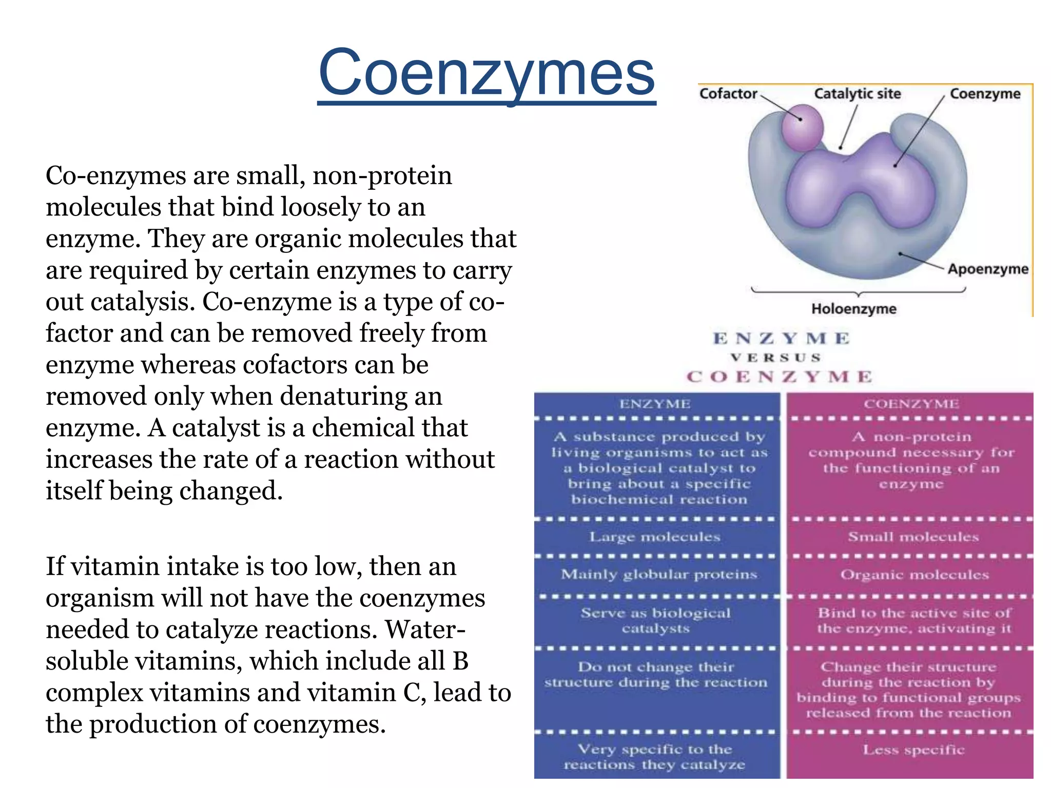 Enzyme Action and Coenzymes 1.pptx