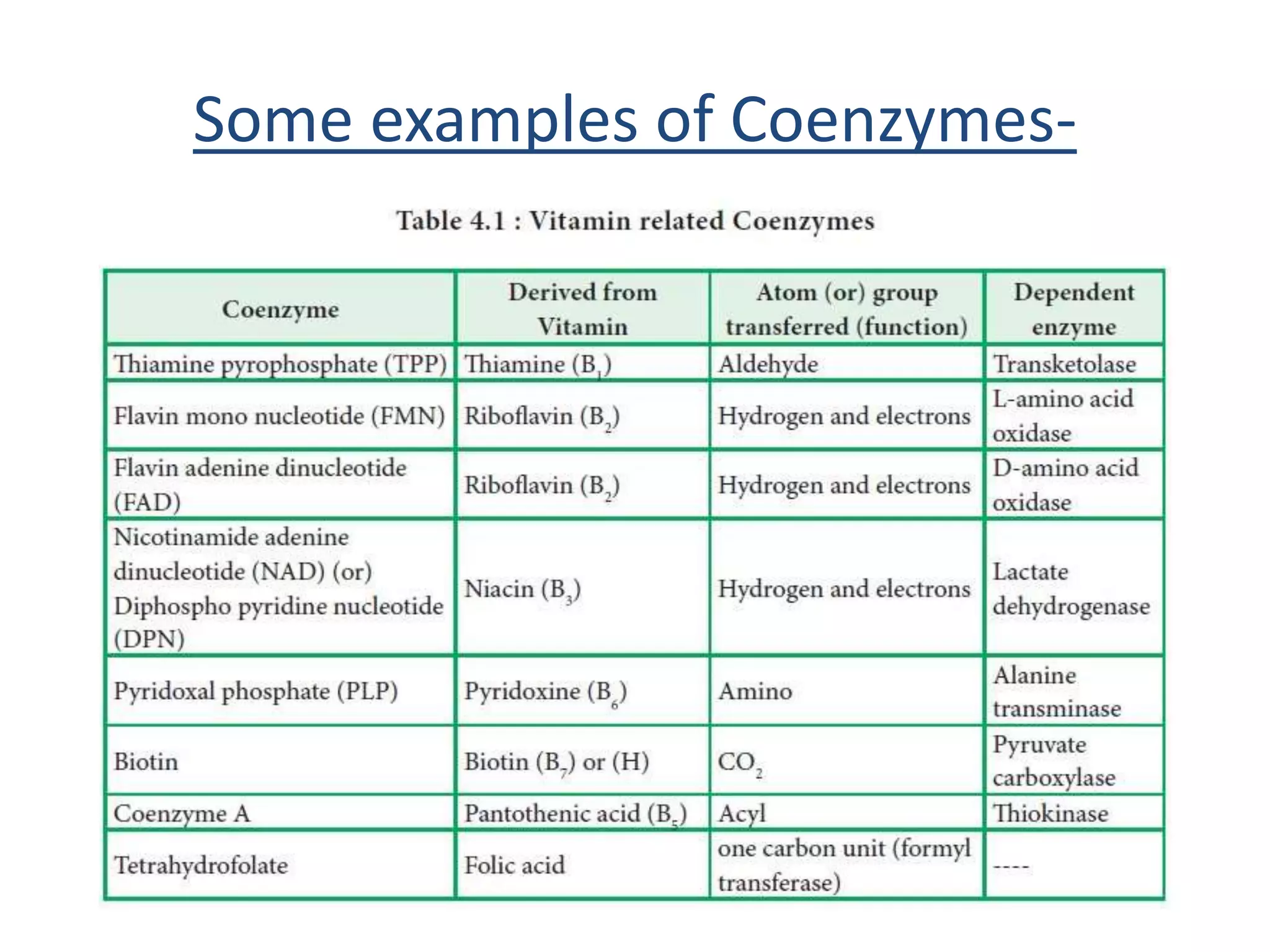 Enzyme Action and Coenzymes 1.pptx