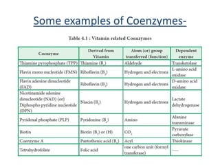 Enzyme Action and Coenzymes 1.pptx