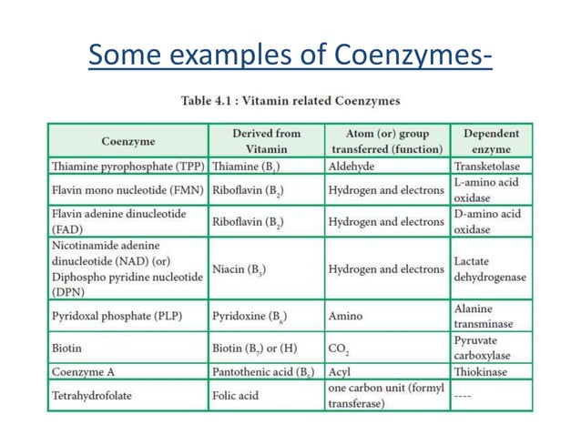 Enzyme Action and Coenzymes 1.pptx