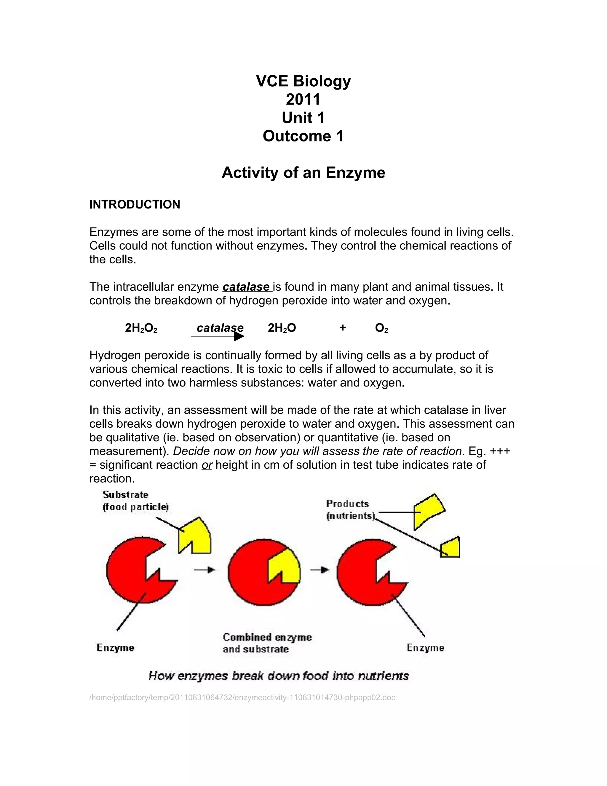 Enzyme activity | PDF