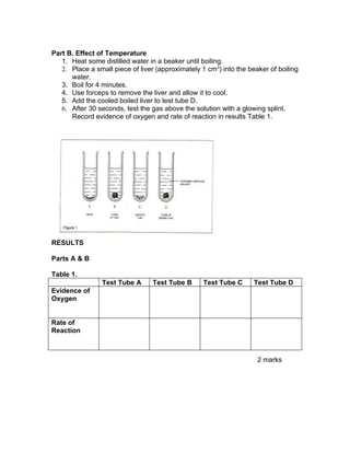 Enzyme activity | PDF