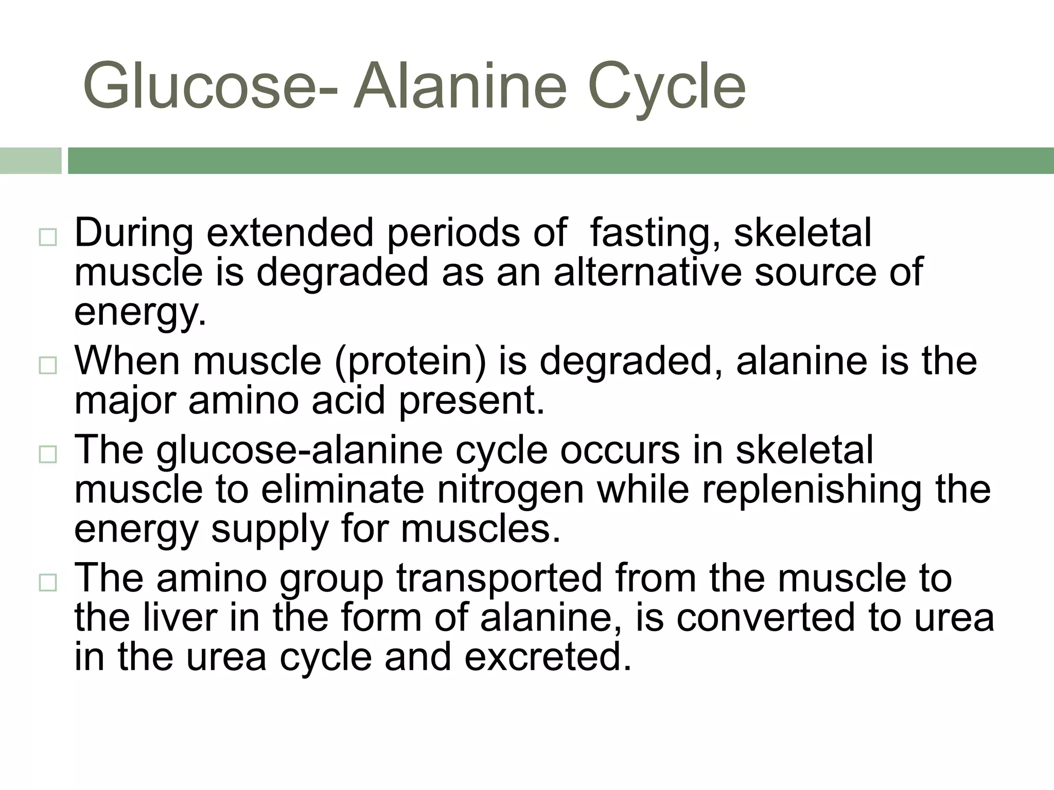 ALANINE TRANSAMINASE (ALT) | PPTX