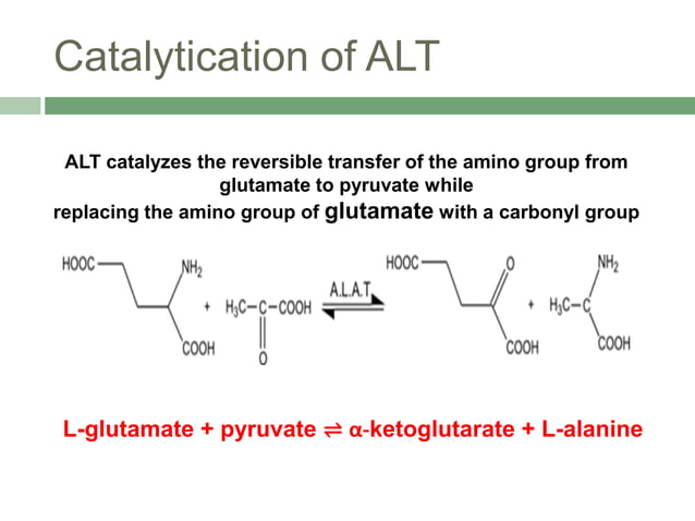 ALANINE TRANSAMINASE (ALT) | PPTX | Endocrine and Metabolic Diseases ...