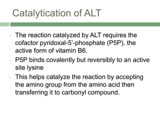 ALANINE TRANSAMINASE (ALT) | PPTX