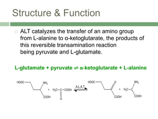 ALANINE TRANSAMINASE (ALT) | PPTX