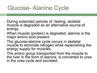 ALANINE TRANSAMINASE (ALT) | PPTX
