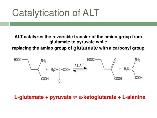 ALANINE TRANSAMINASE (ALT)
