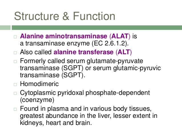 ALANINE TRANSAMINASE (ALT)