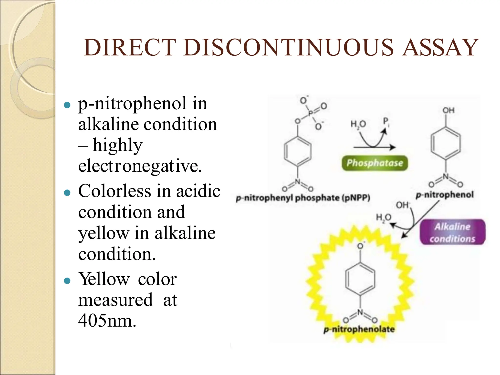 Enzyme analysis assay introduction for dummy.pptx