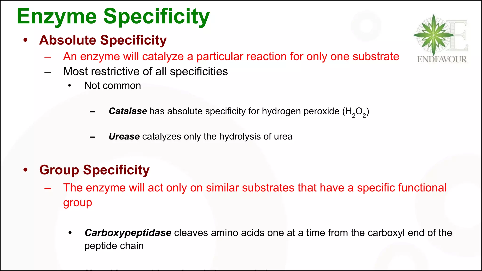 Enzyme and Coenzyme | PDF | Chemistry | Science
