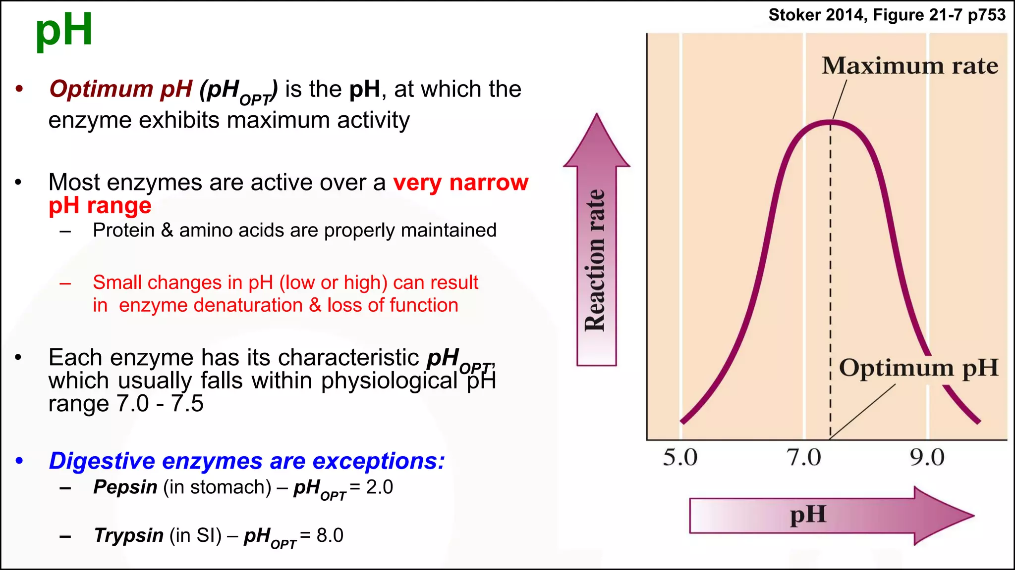 Enzyme and Coenzyme | PDF | Chemistry | Science