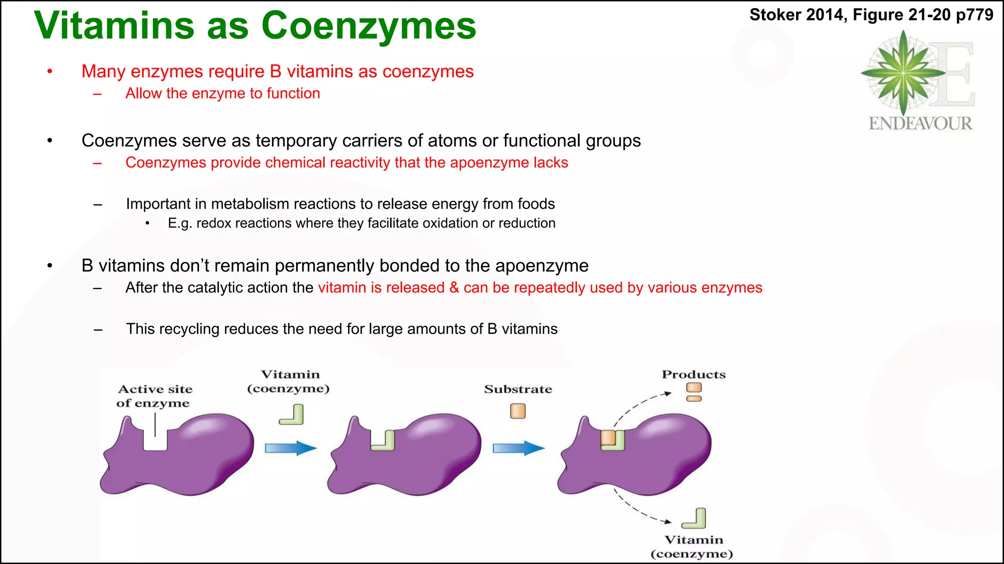 Enzyme and Coenzyme | PDF | Chemistry | Science