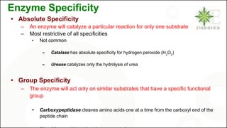Enzyme and Coenzyme | PPT