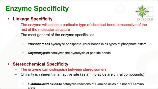 Enzyme and Coenzyme | PDF | Chemistry | Science