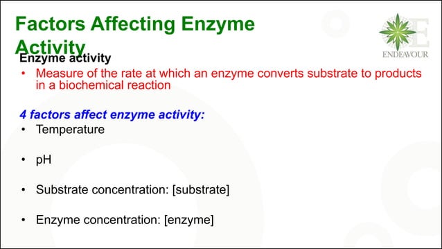 Enzyme and Coenzyme | PDF | Chemistry | Science