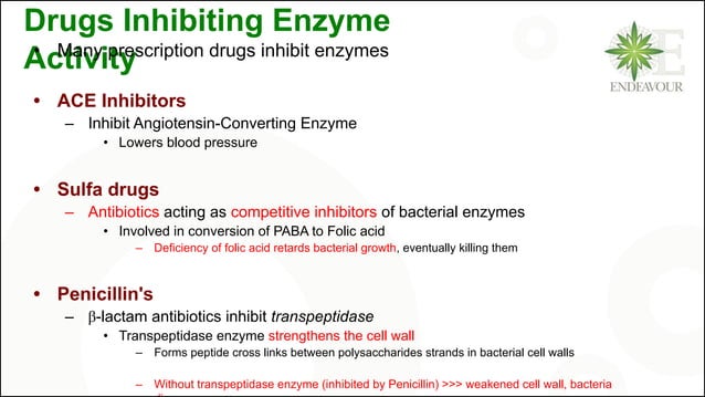 Enzyme and Coenzyme | PDF | Chemistry | Science