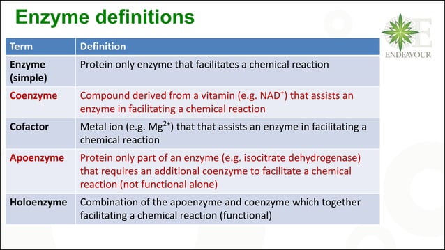 Enzyme and Coenzyme | PDF | Chemistry | Science