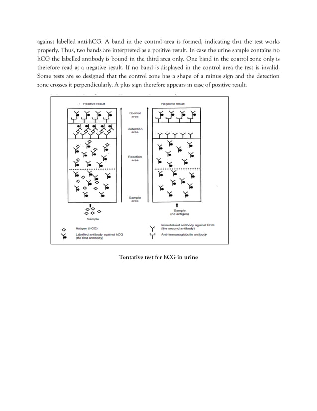 methods of enzyme assay | PDF | Chemistry | Science