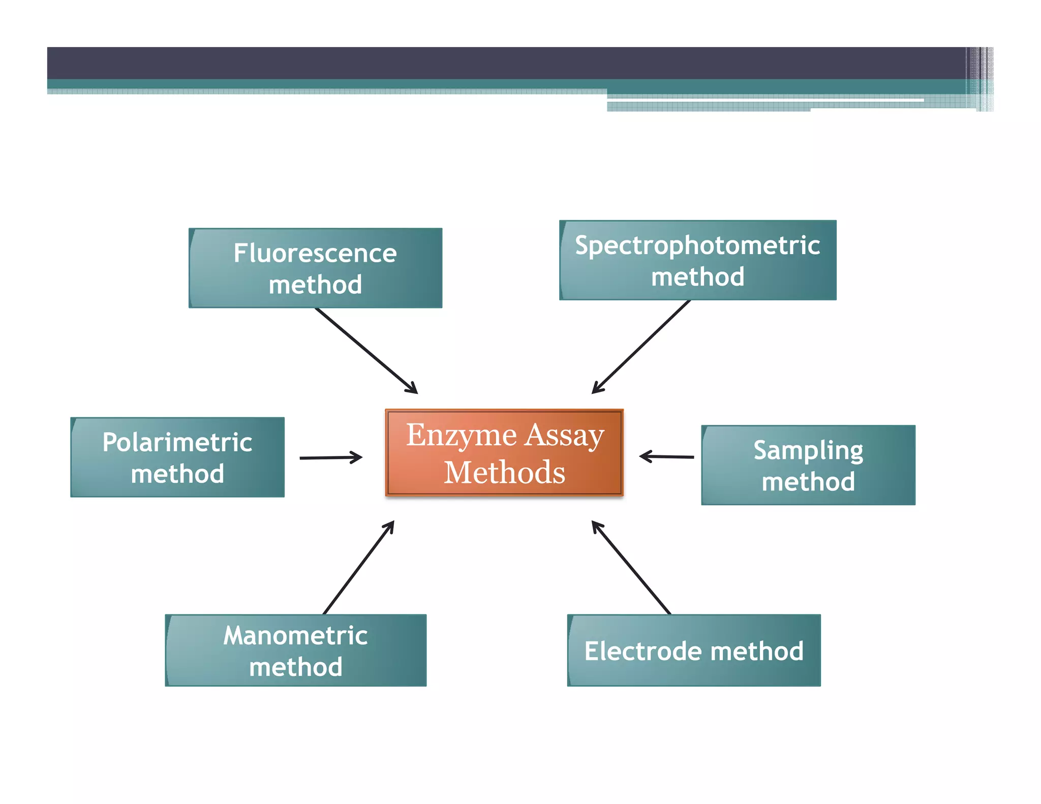Enzyme Assay Methods | PDF