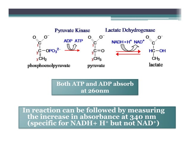 Enzyme Assay Methods | PDF | Chemistry | Science