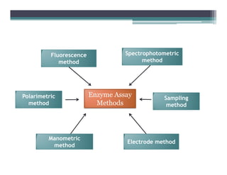 Enzyme Assay Methods | PDF