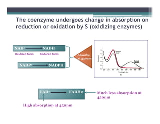 Enzyme Assay Methods | PDF
