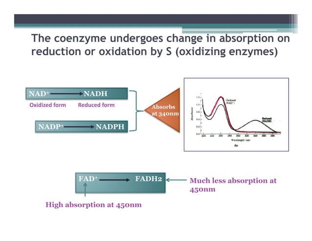Enzyme Assay Methods | PDF | Chemistry | Science