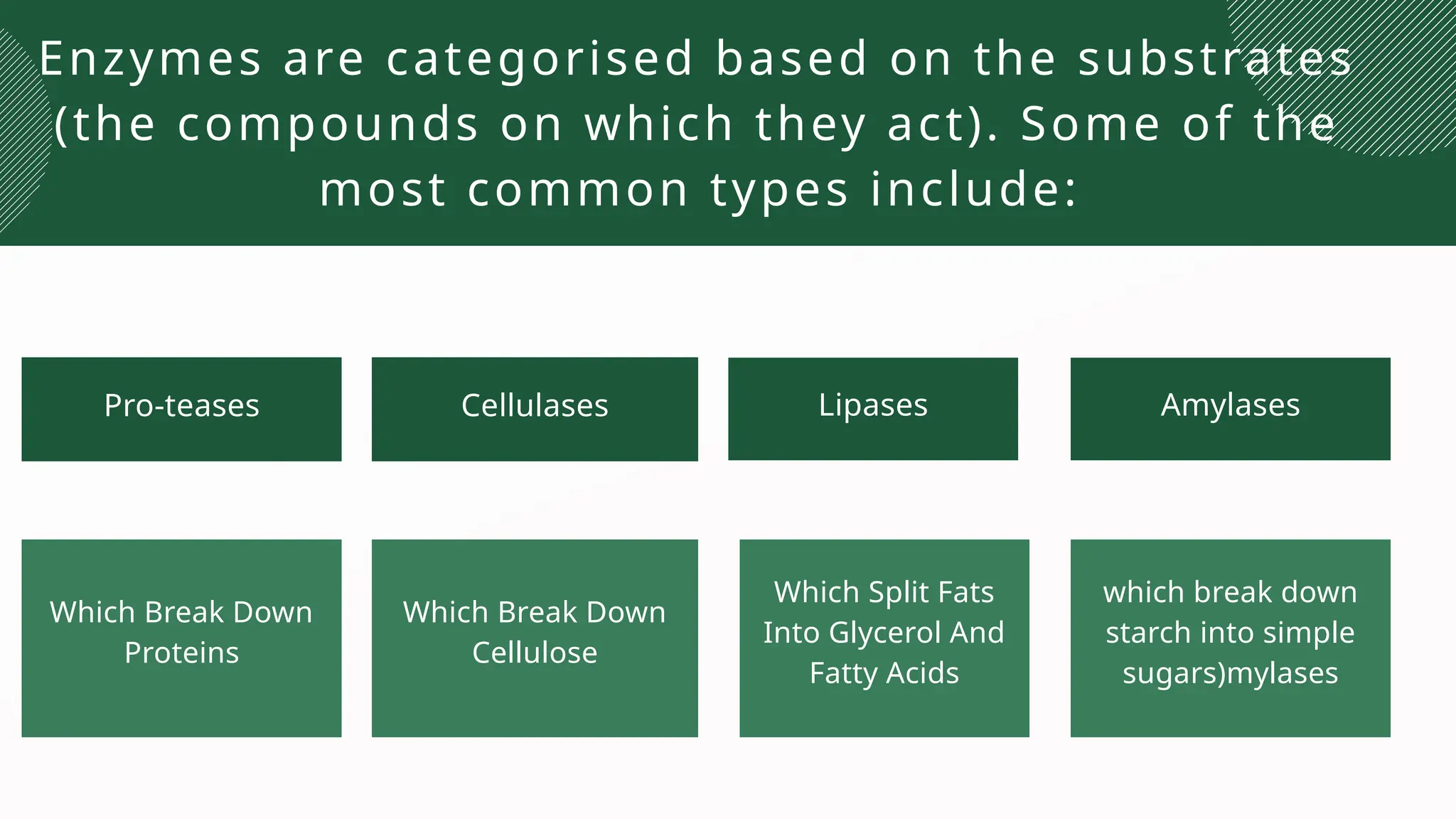 Enzyme Assisted extraction.pptx