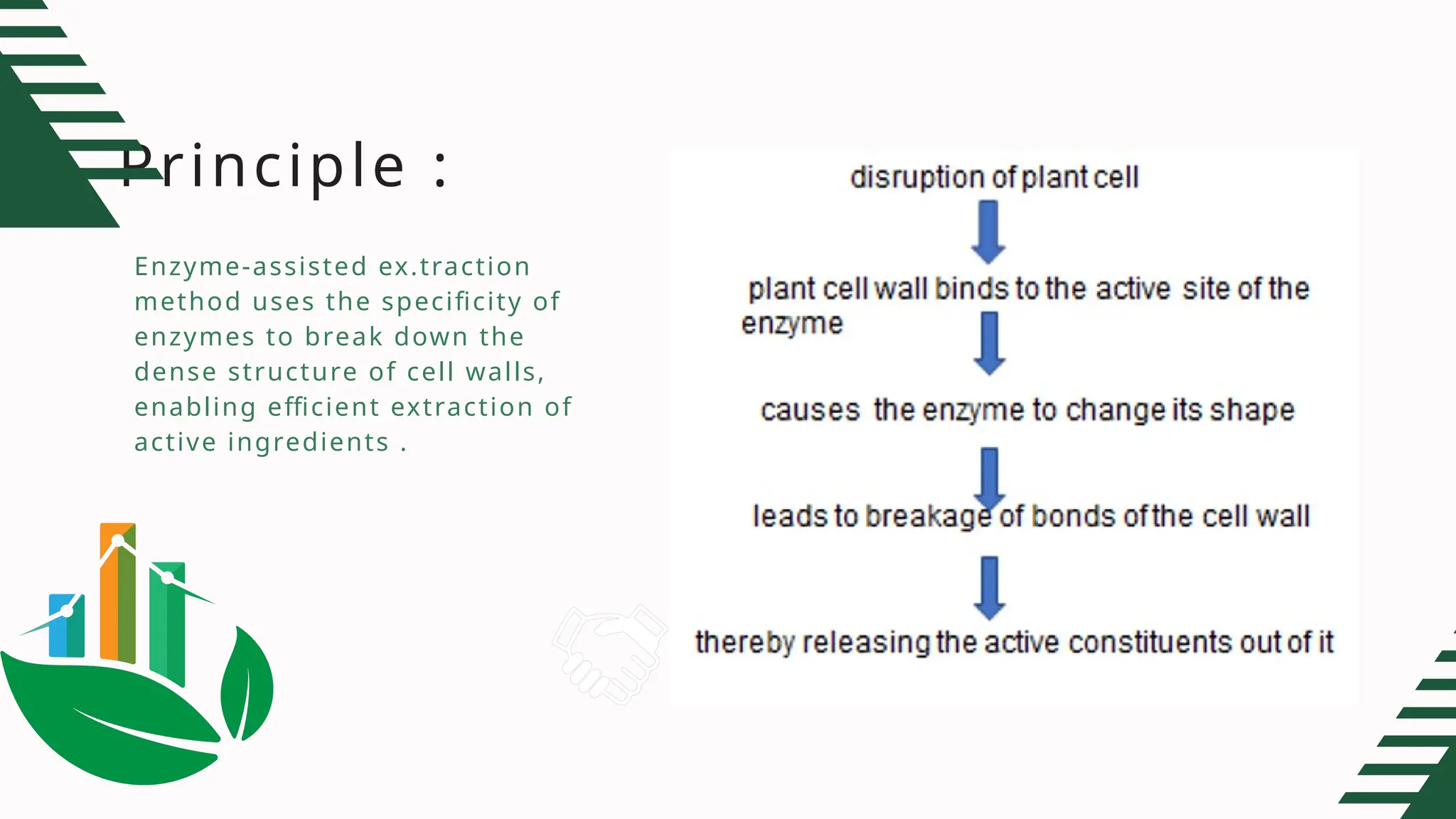 Enzyme Assisted extraction.pptx