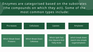 Enzyme Assisted extraction.pptx