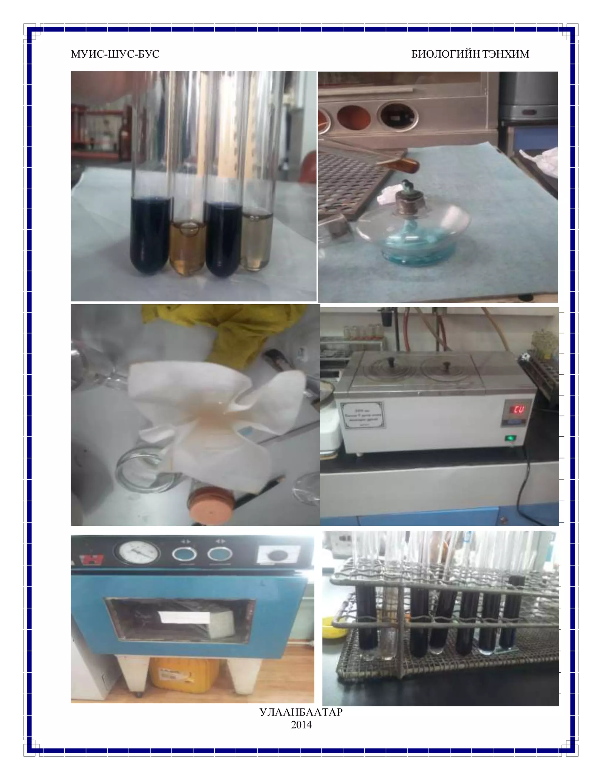 Enzyme bie daalt | DOCX