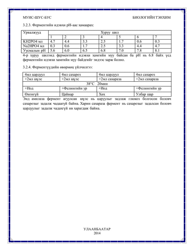 Enzyme bie daalt | DOCX