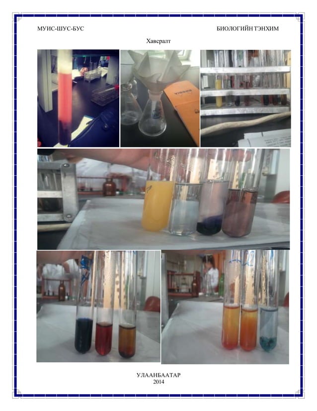 Enzyme bie daalt | DOCX