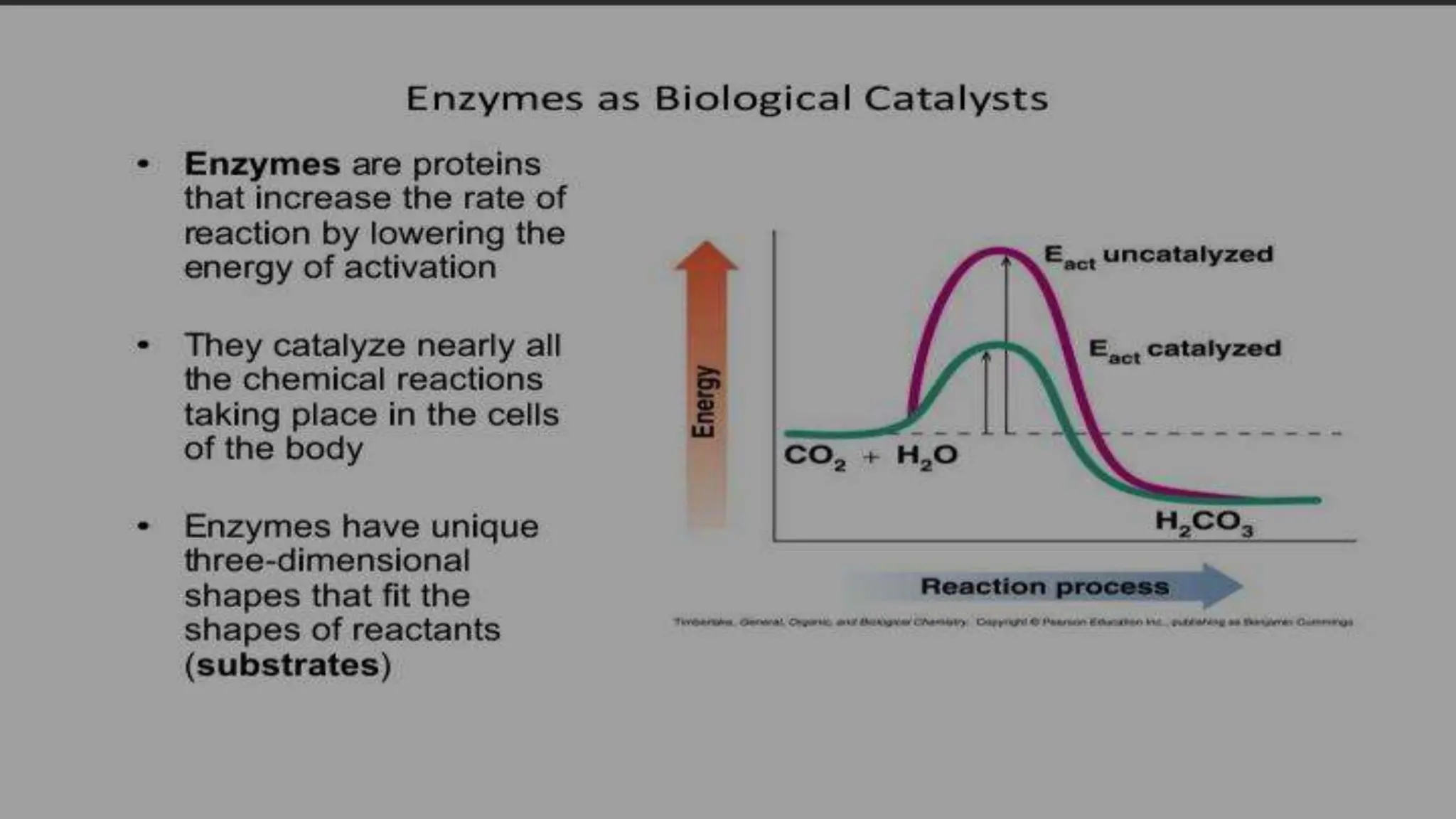 ENZYME ARE BIOLOGICAL CATALYST .pptx