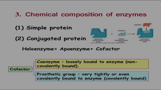 ENZYME ARE BIOLOGICAL CATALYST .pptx