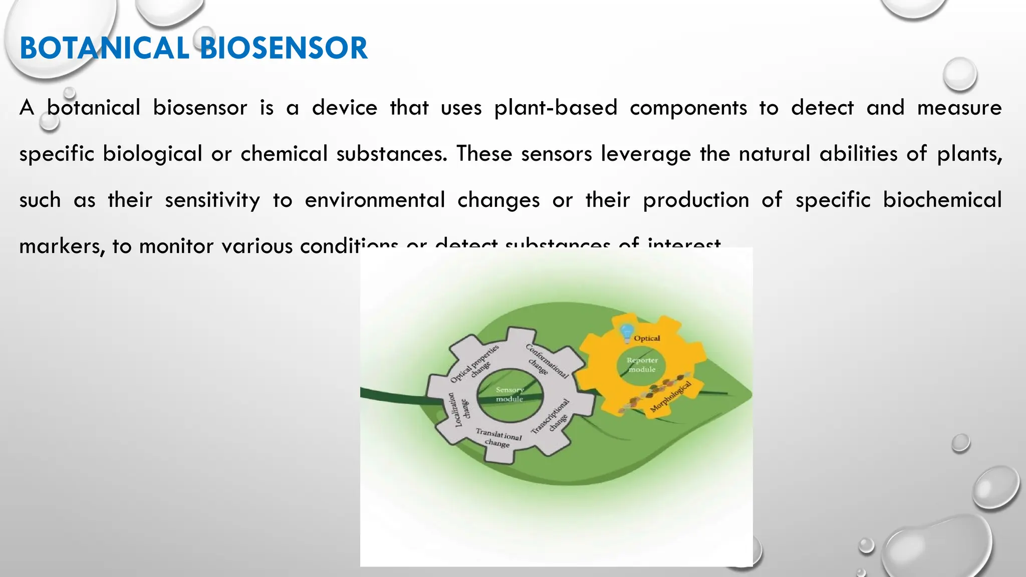 Enzyme based biosensor and their application.pptx
