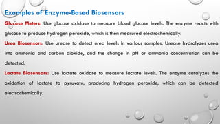 Enzyme based biosensor and their application.pptx