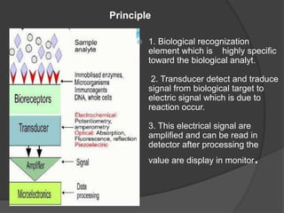 Enzyme biosensor final | PPTX