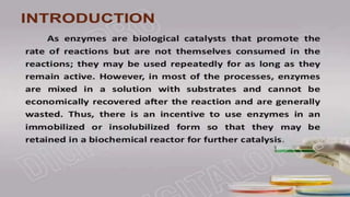 ENZYME BIOTECHNOLOGY.pptx