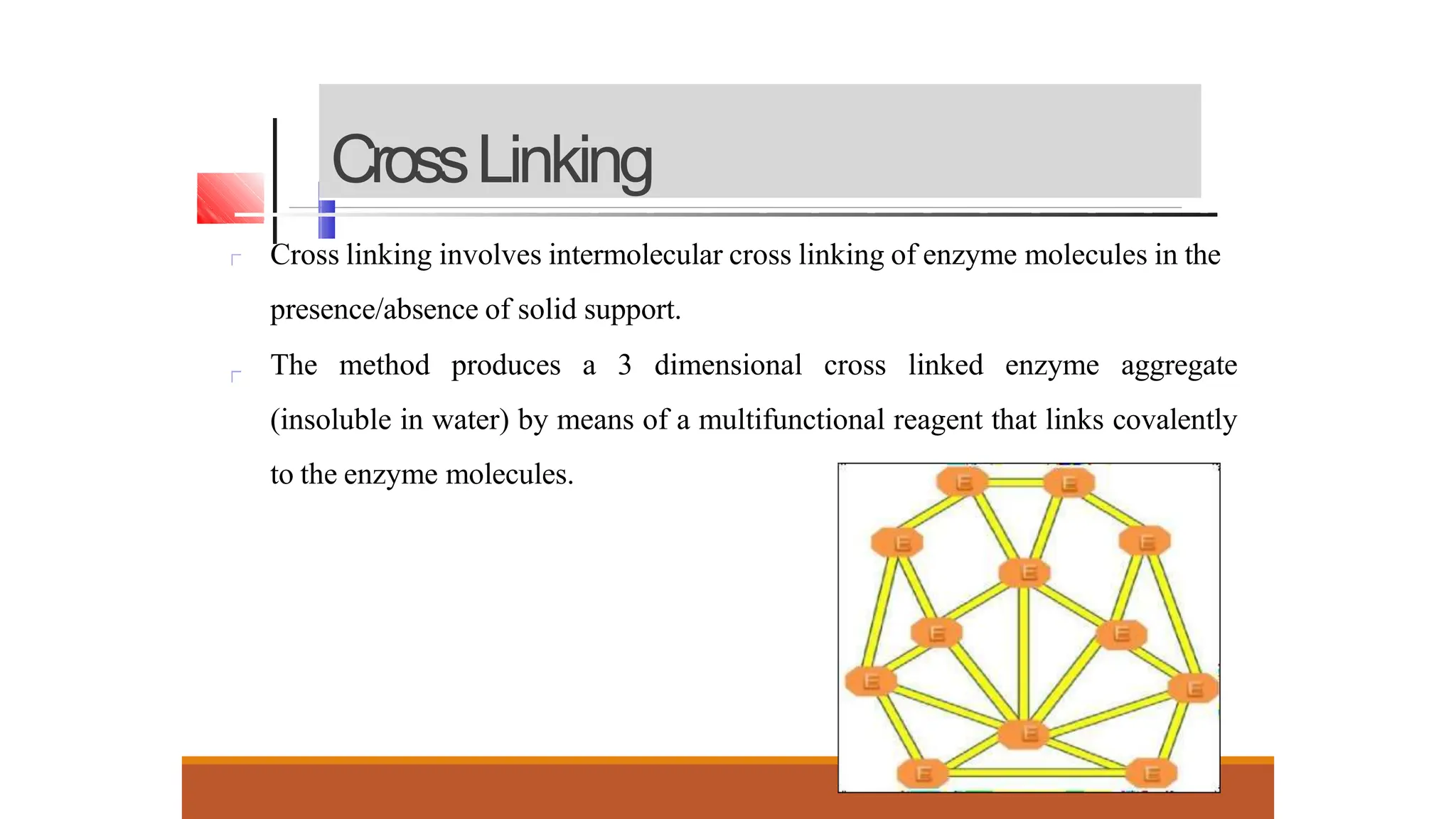 Enzyme Biotechnology Methods Of Enzyme Immobilization And Applications Pptx