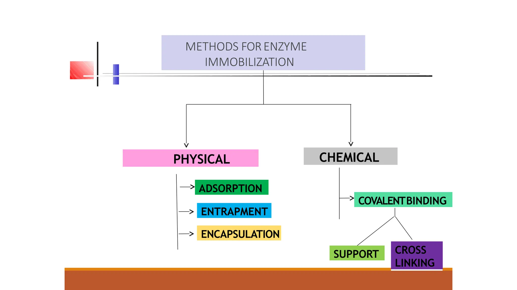 Enzyme Biotechnology-Methods of enzyme immobilization and applications.pptx