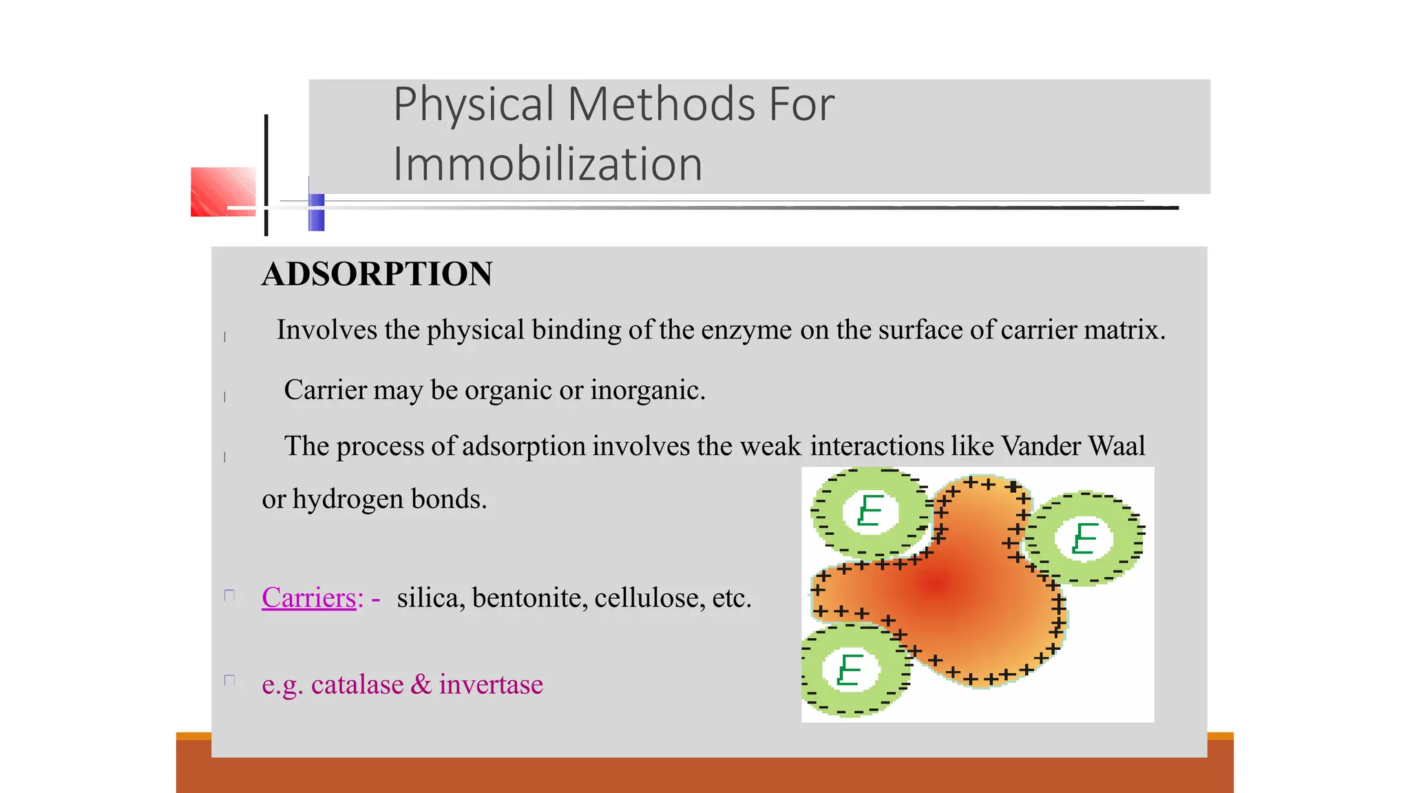 Enzyme Biotechnology Methods Of Enzyme Immobilization And Applications Pptx